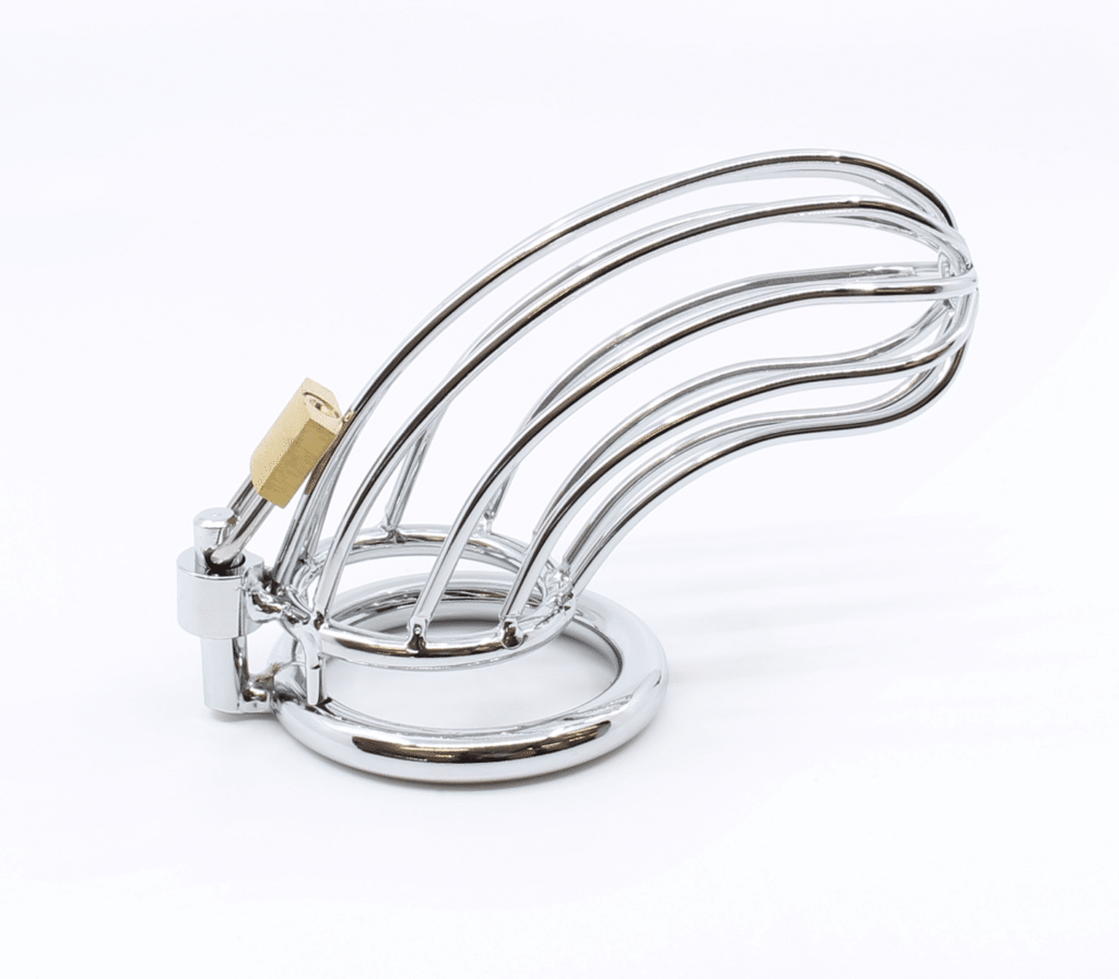 Bird Cage Male Chastity Device | Love In Leather